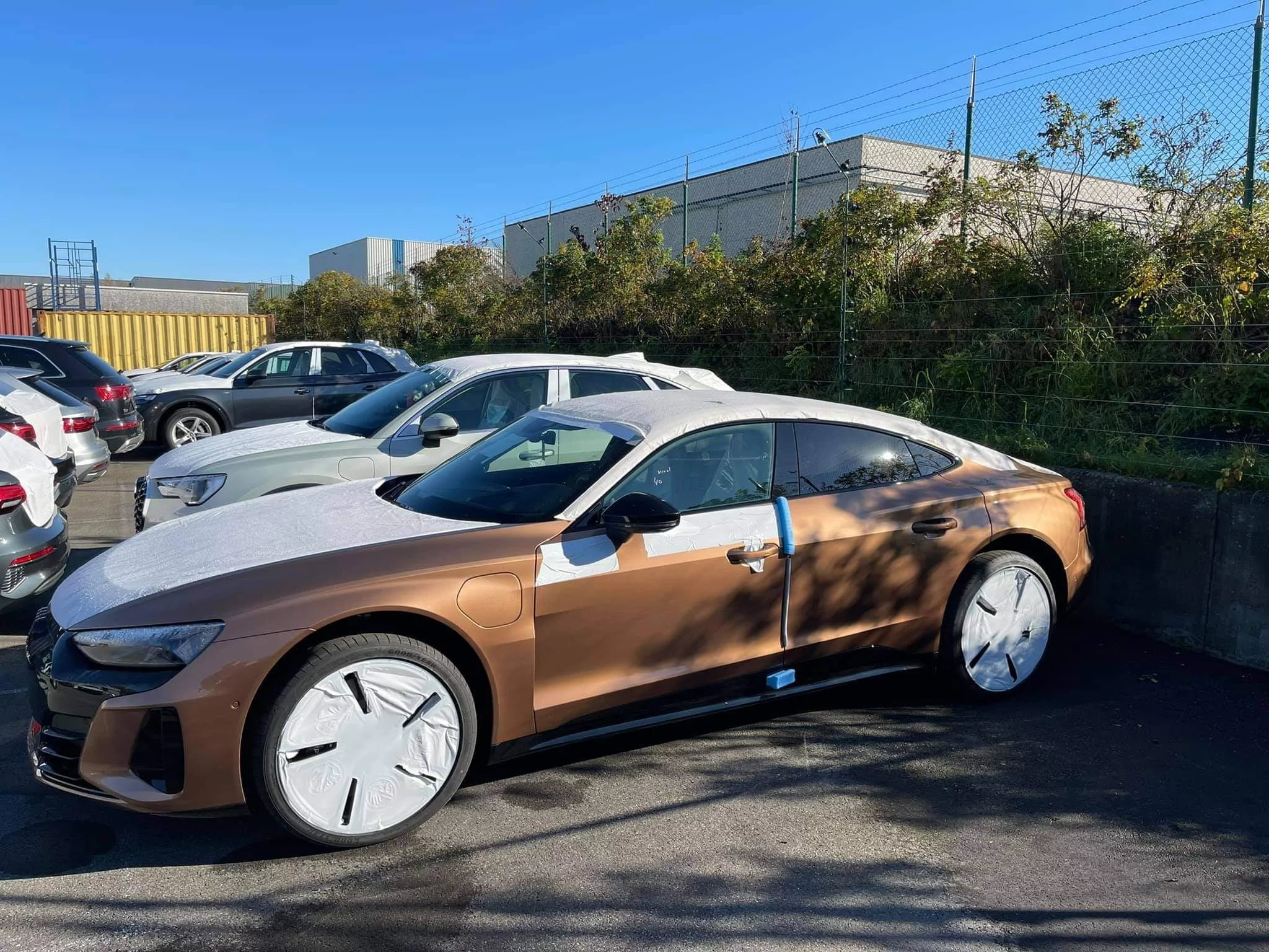 Zanzibar Brown - Audi RS e-tron GT | carpaints.co