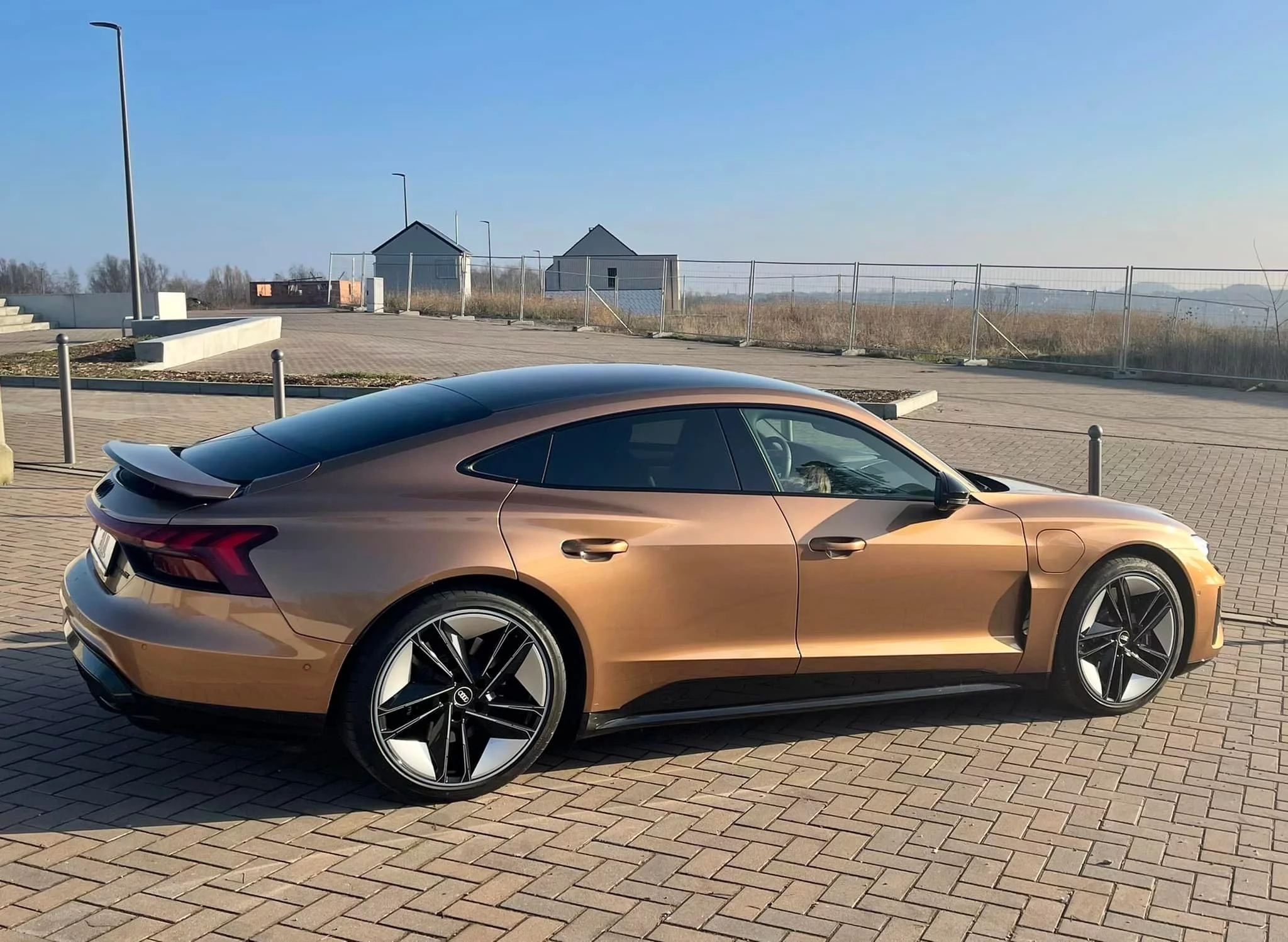Zanzibar Brown - Audi RS e-tron GT | carpaints.co