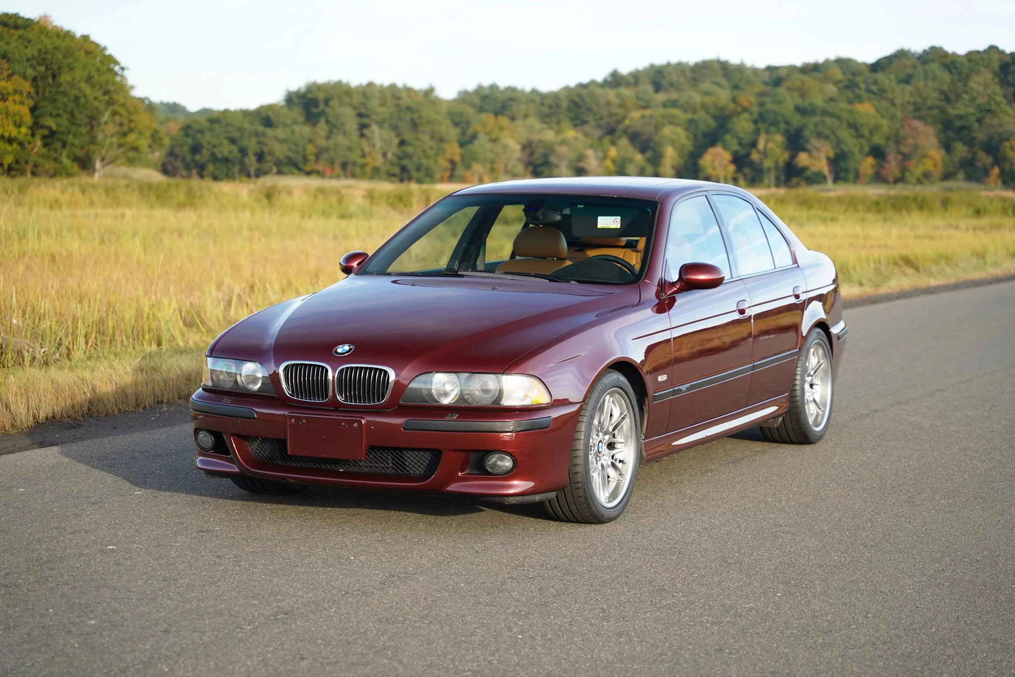 Royal Red - BMW M5 (E39) | carpaints.co