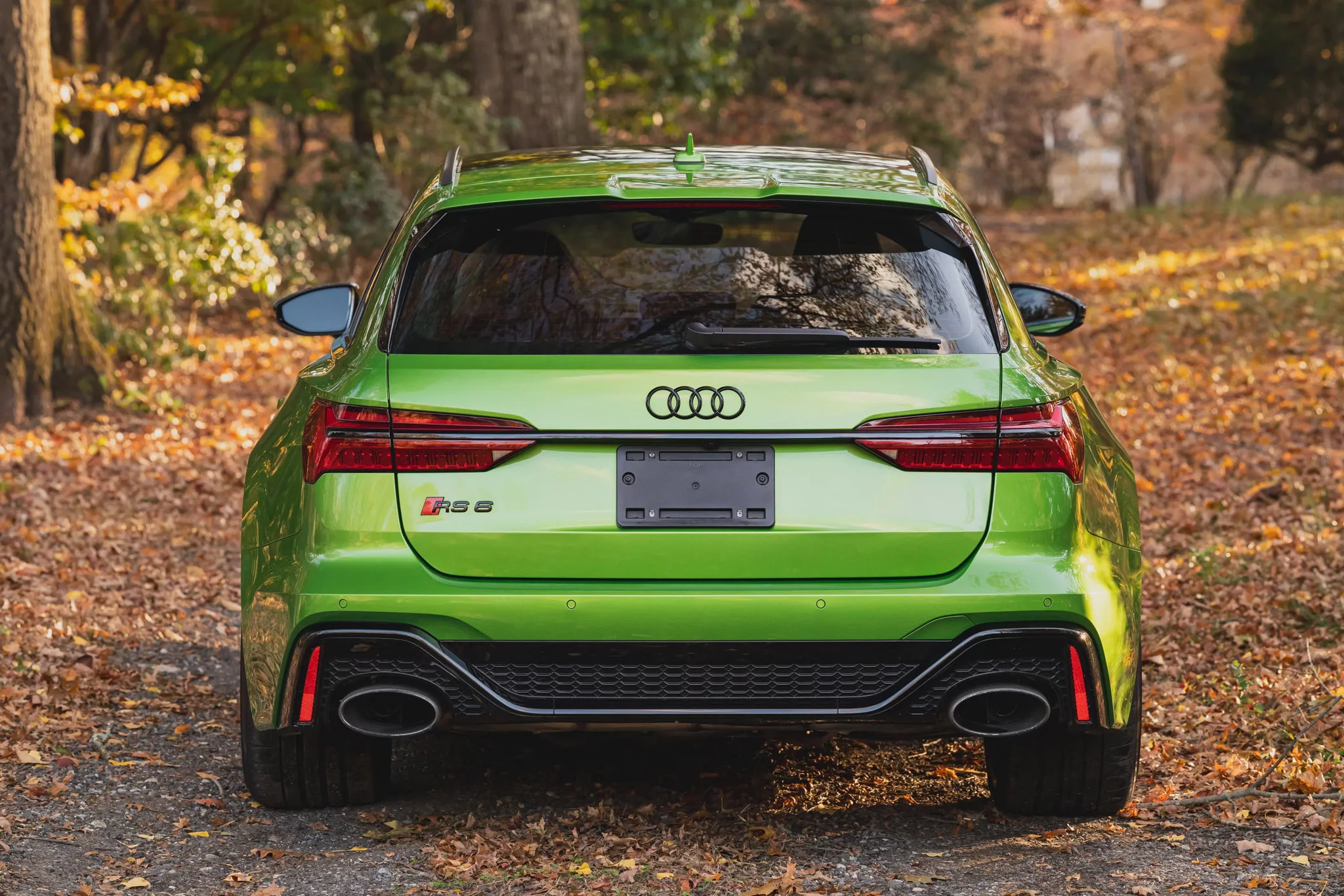 Java Green - Audi RS6 Avant (C8) | carpaints.co
