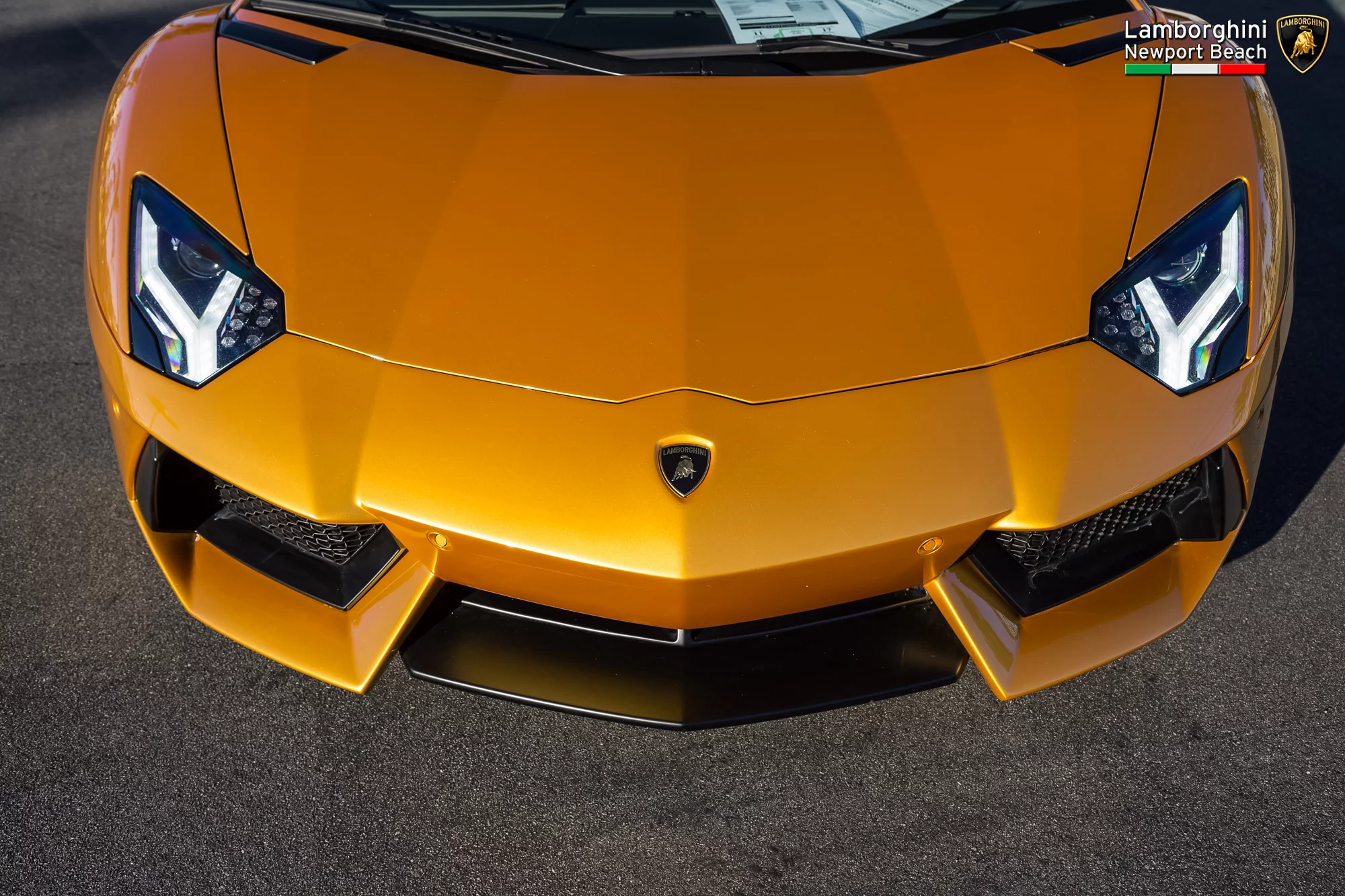 Oro Adonis - Lamborghini Aventador (LP700-4) - carpaints.co