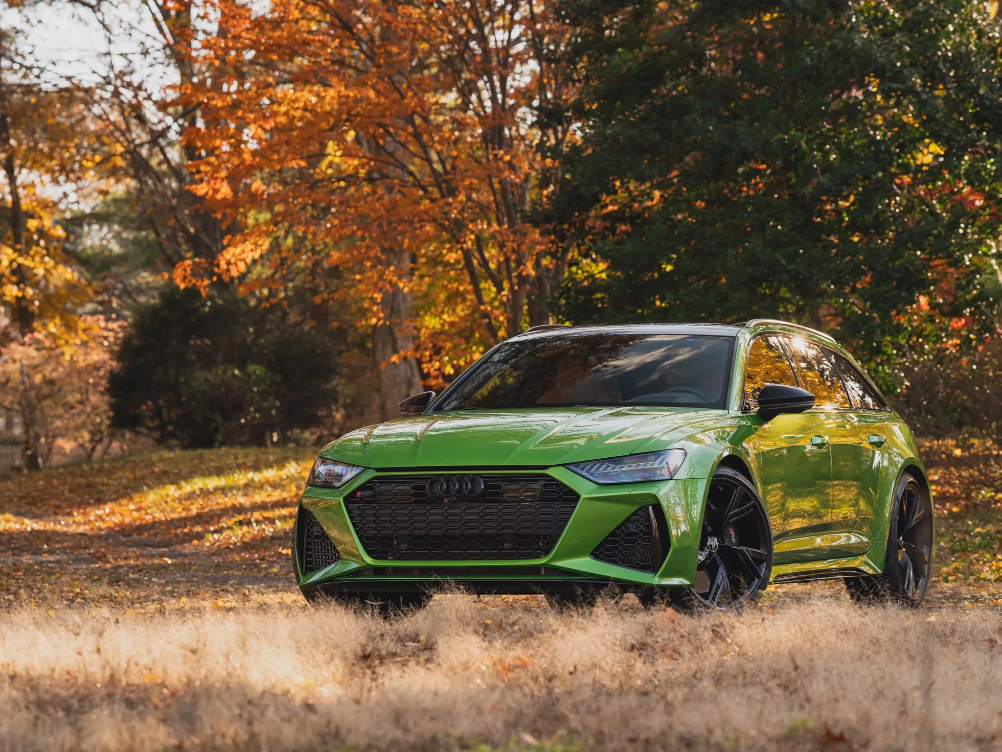 Java Green - Audi RS6 Avant (C8) | carpaints.co