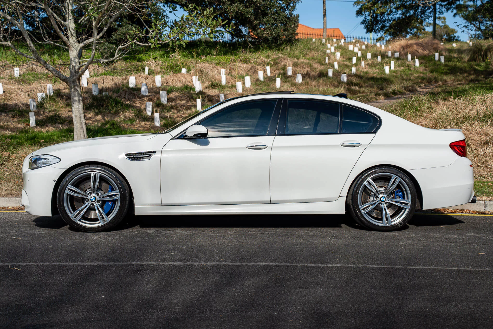Alpine White III - BMW M5 (F10) | carpaints.co