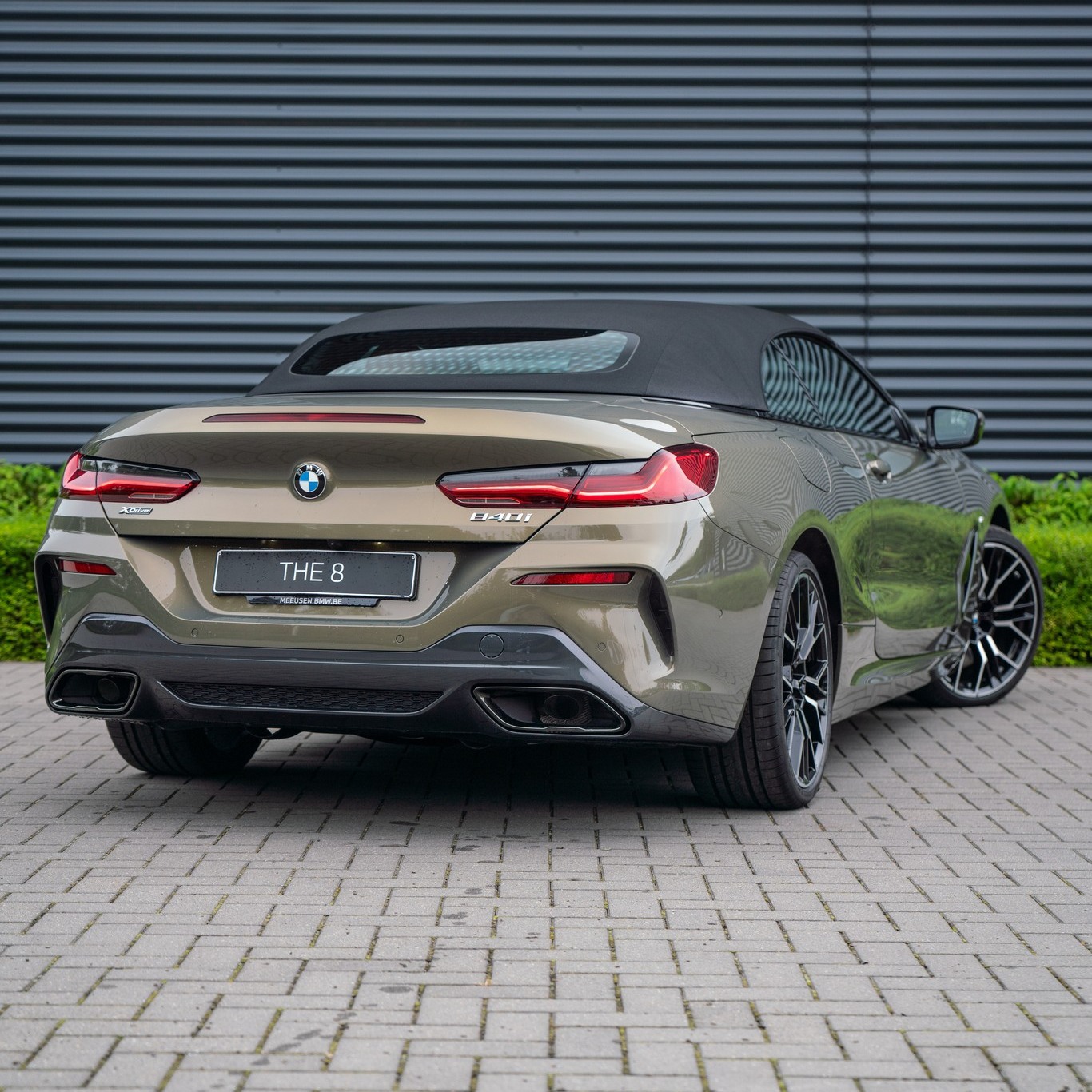 Brass - BMW 8 Series Convertible (G14) - carpaints.co