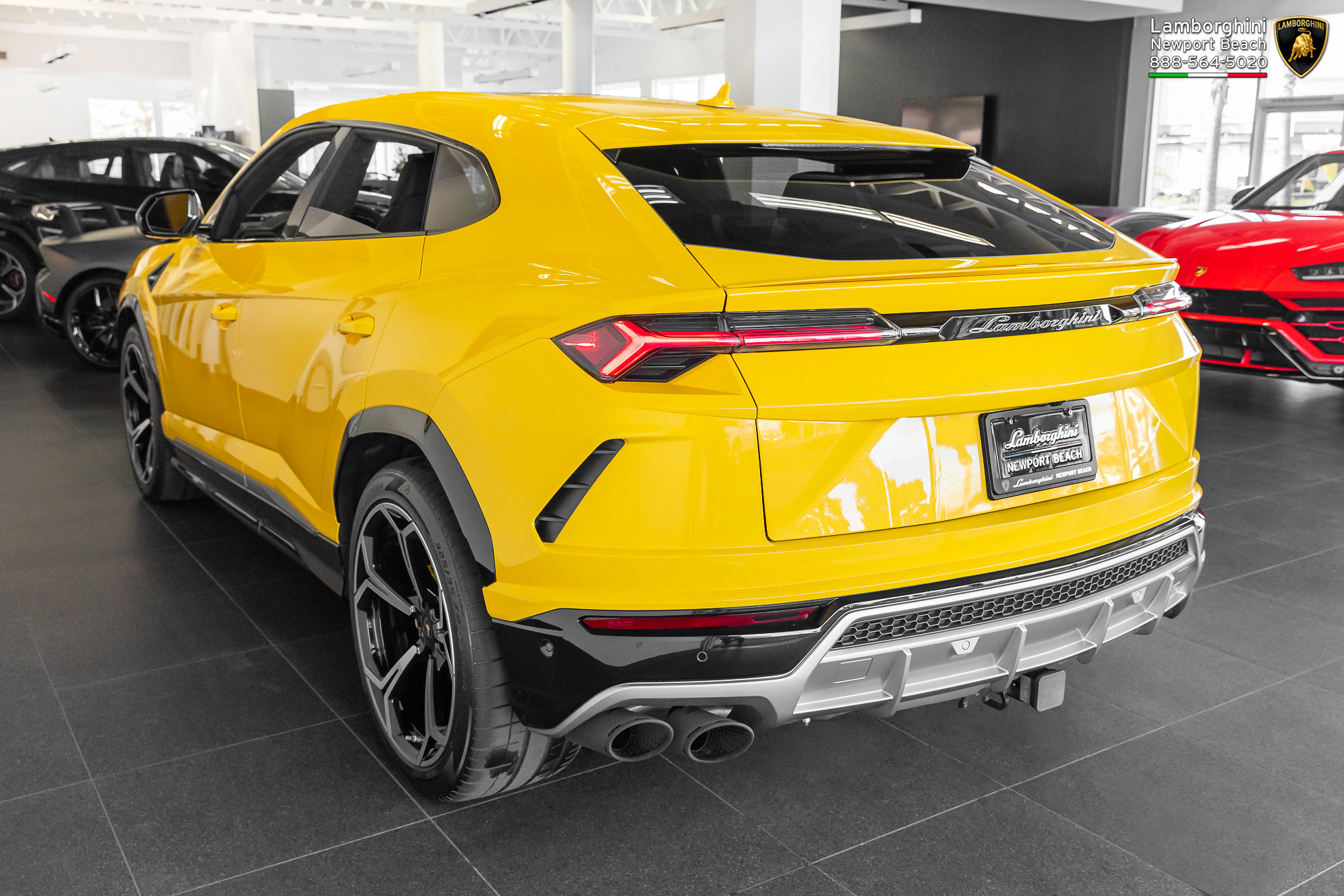 Giallo Auge - Lamborghini Urus - carpaints.co