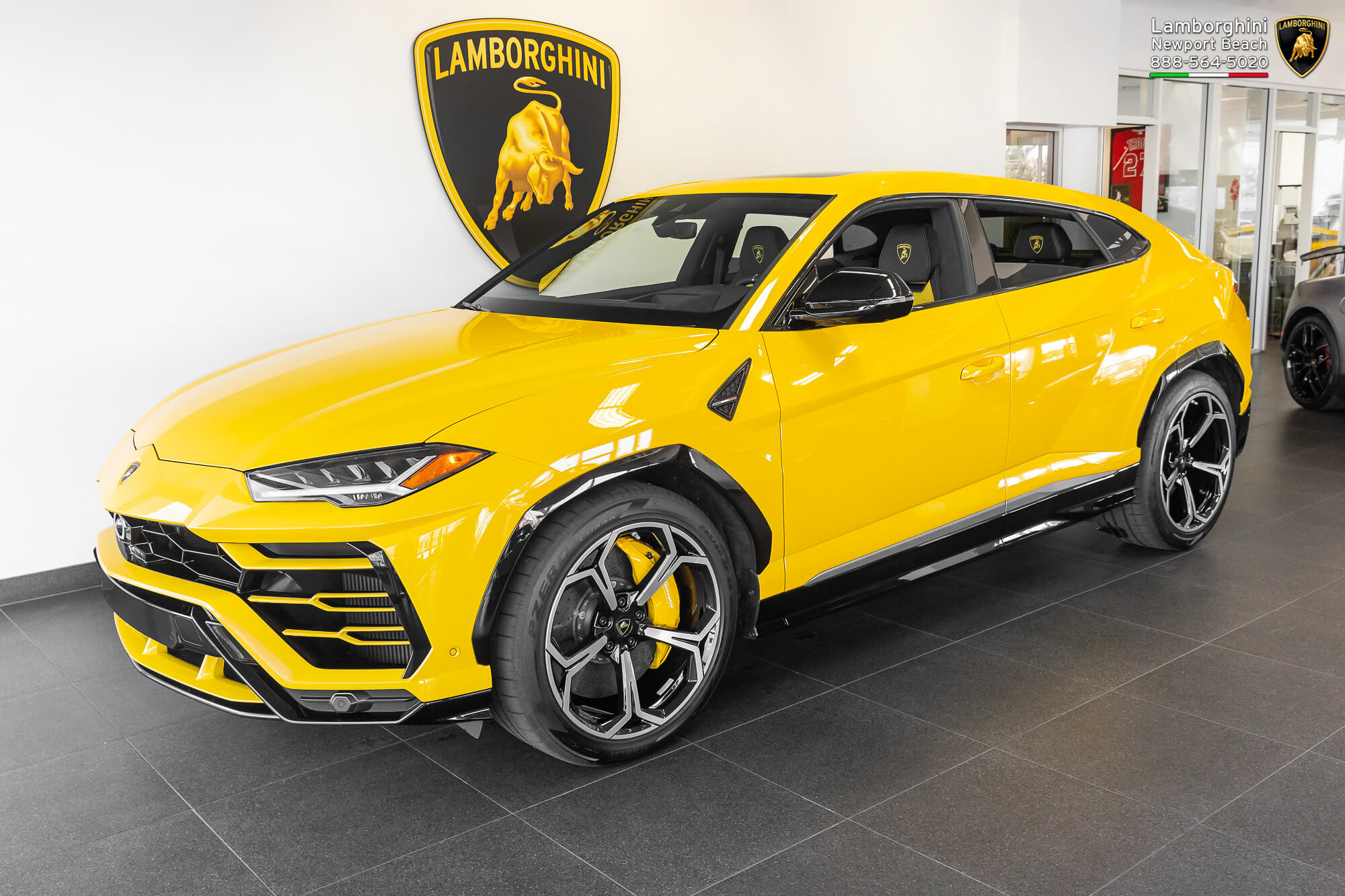 Giallo Auge - Lamborghini Urus - carpaints.co