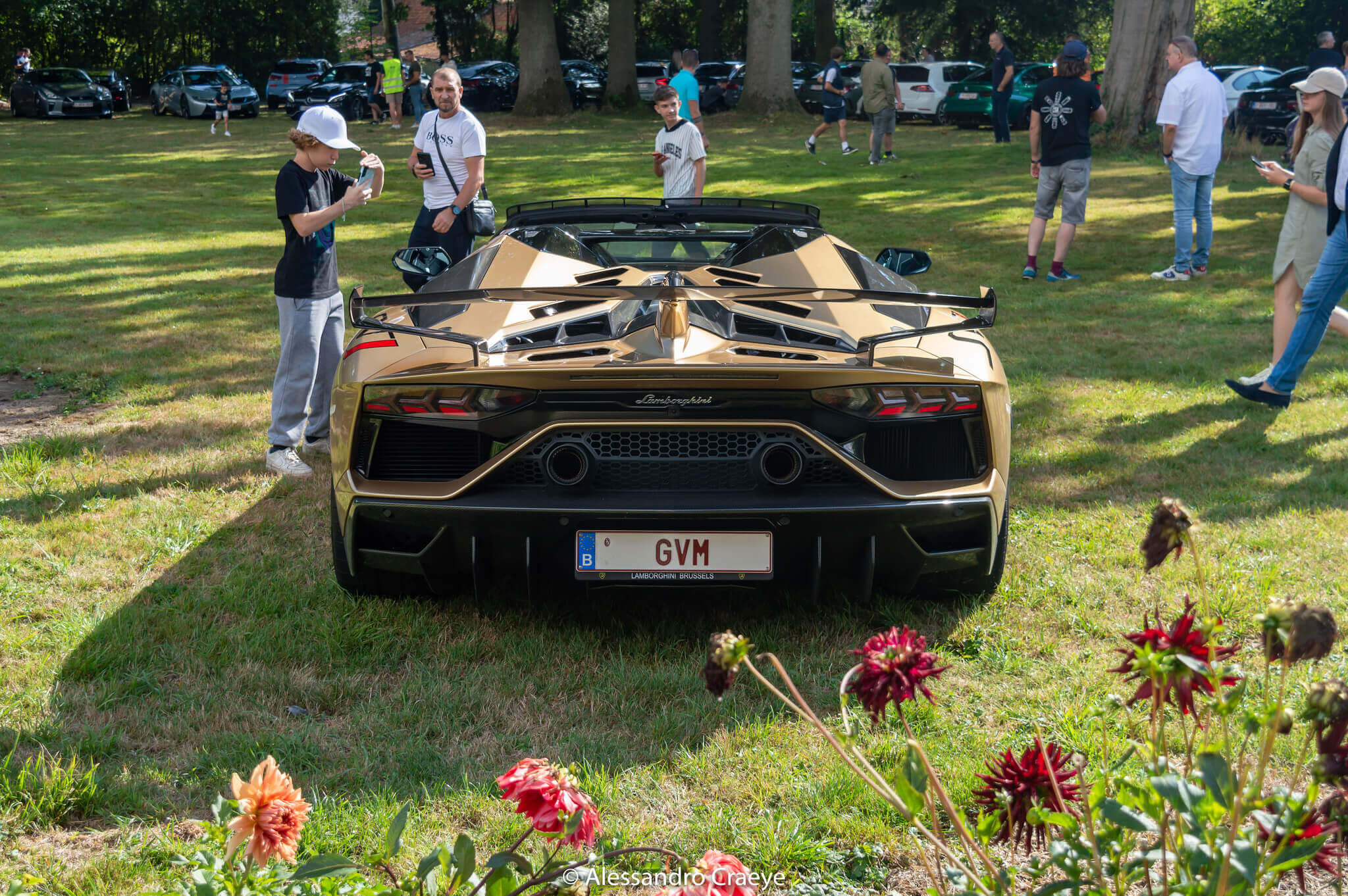 Oro Elios - Lamborghini Aventador SVJ Roadster (LP770-4) - carpaints.co