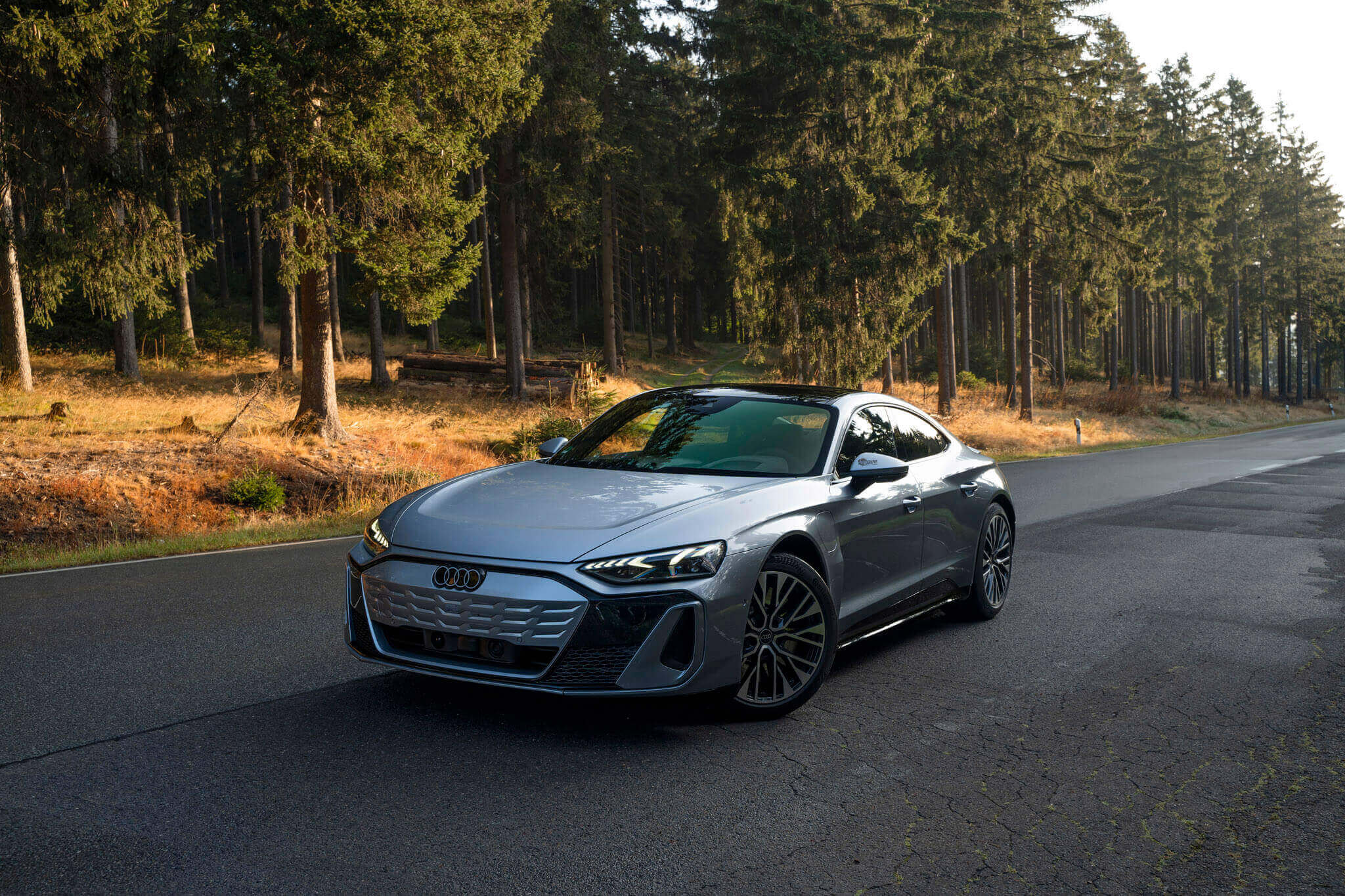 Floret Silver - Audi e-tron GT - carpaints.co