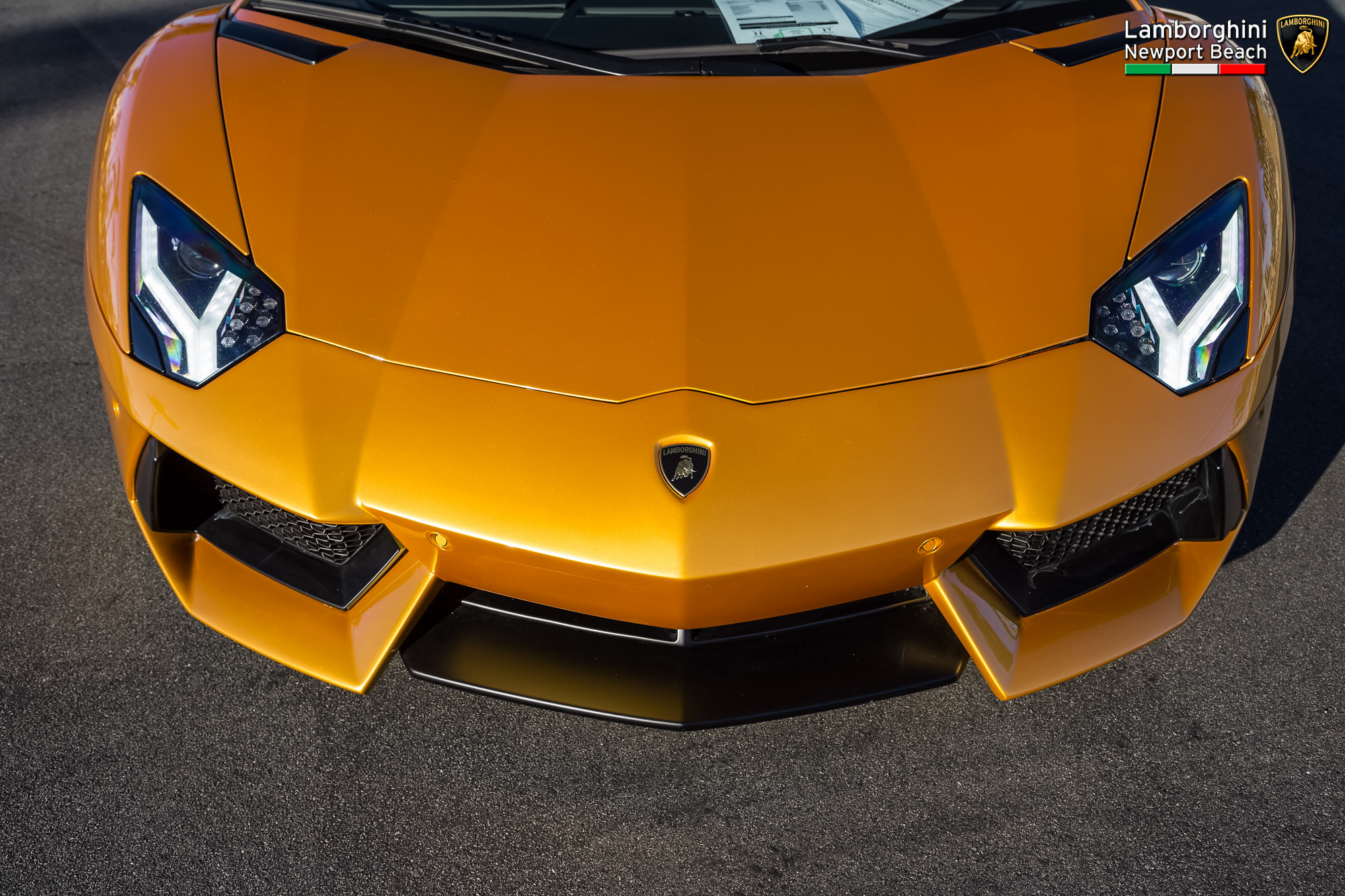 Oro Adonis - Lamborghini Aventador (LP700-4) - carpaints.co