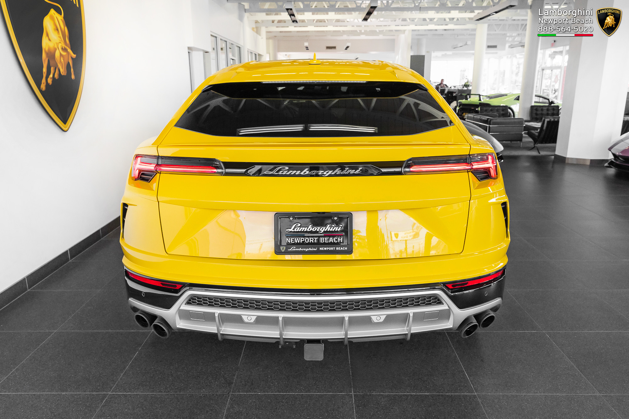 Giallo Auge - Lamborghini Urus - carpaints.co