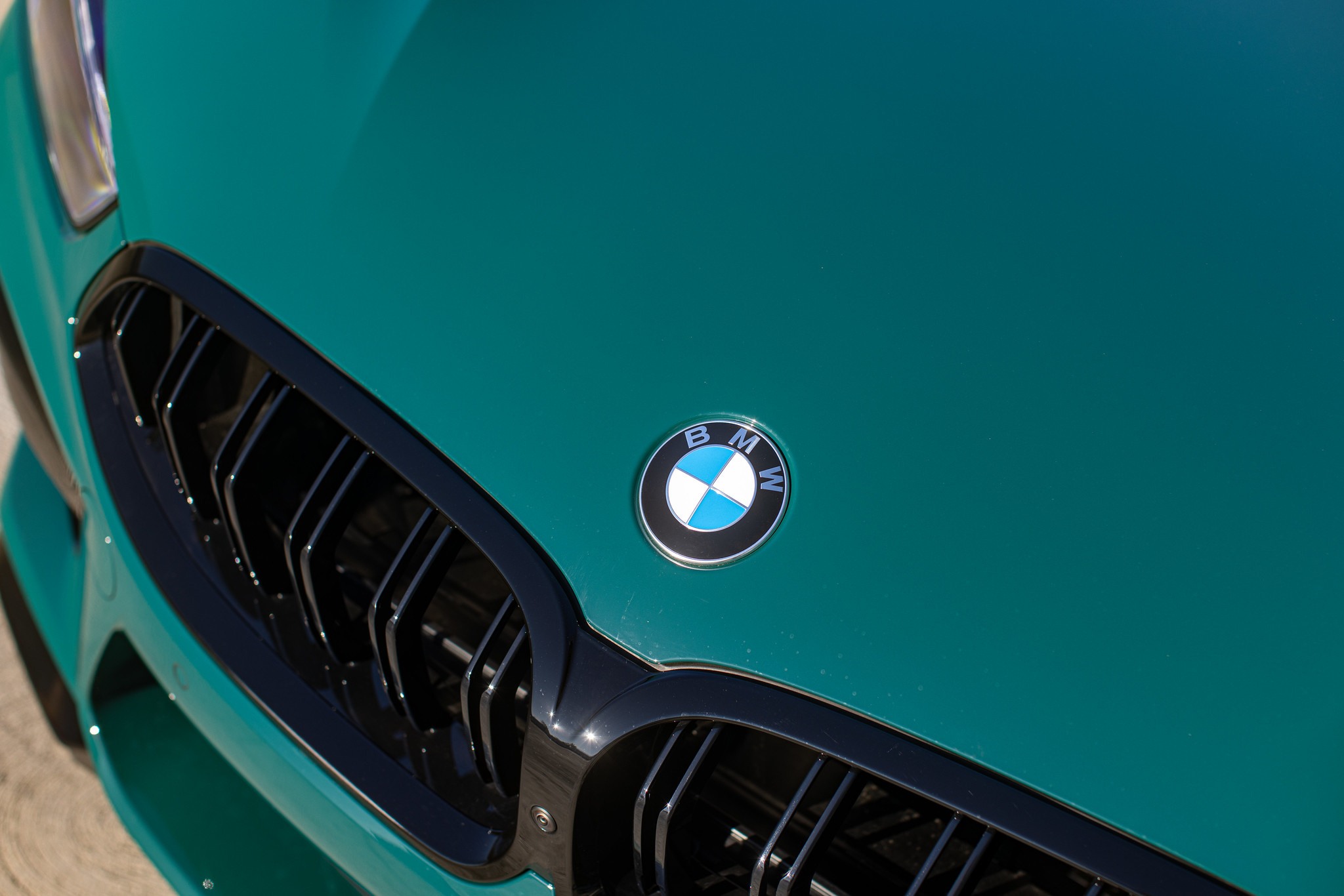 Agave - BMW M8 Gran Coupe (F93) - carpaints.co