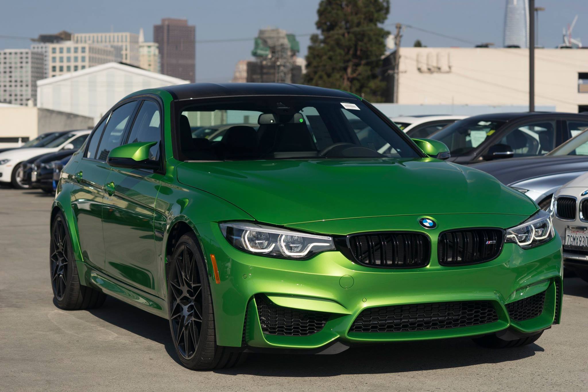 Java Green - BMW M3 (F80) - carpaints.co