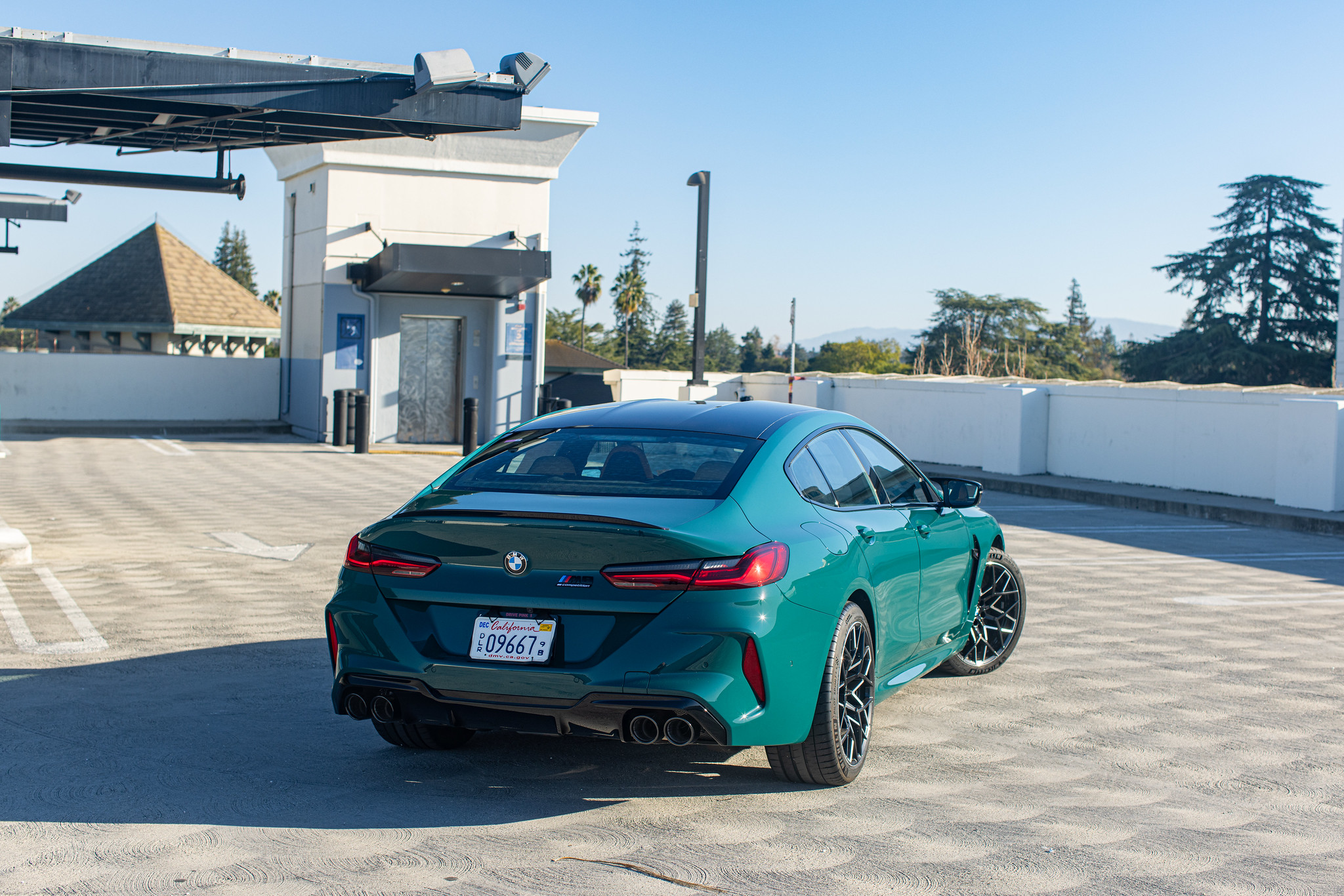 Agave - BMW M8 Gran Coupe (F93) - carpaints.co