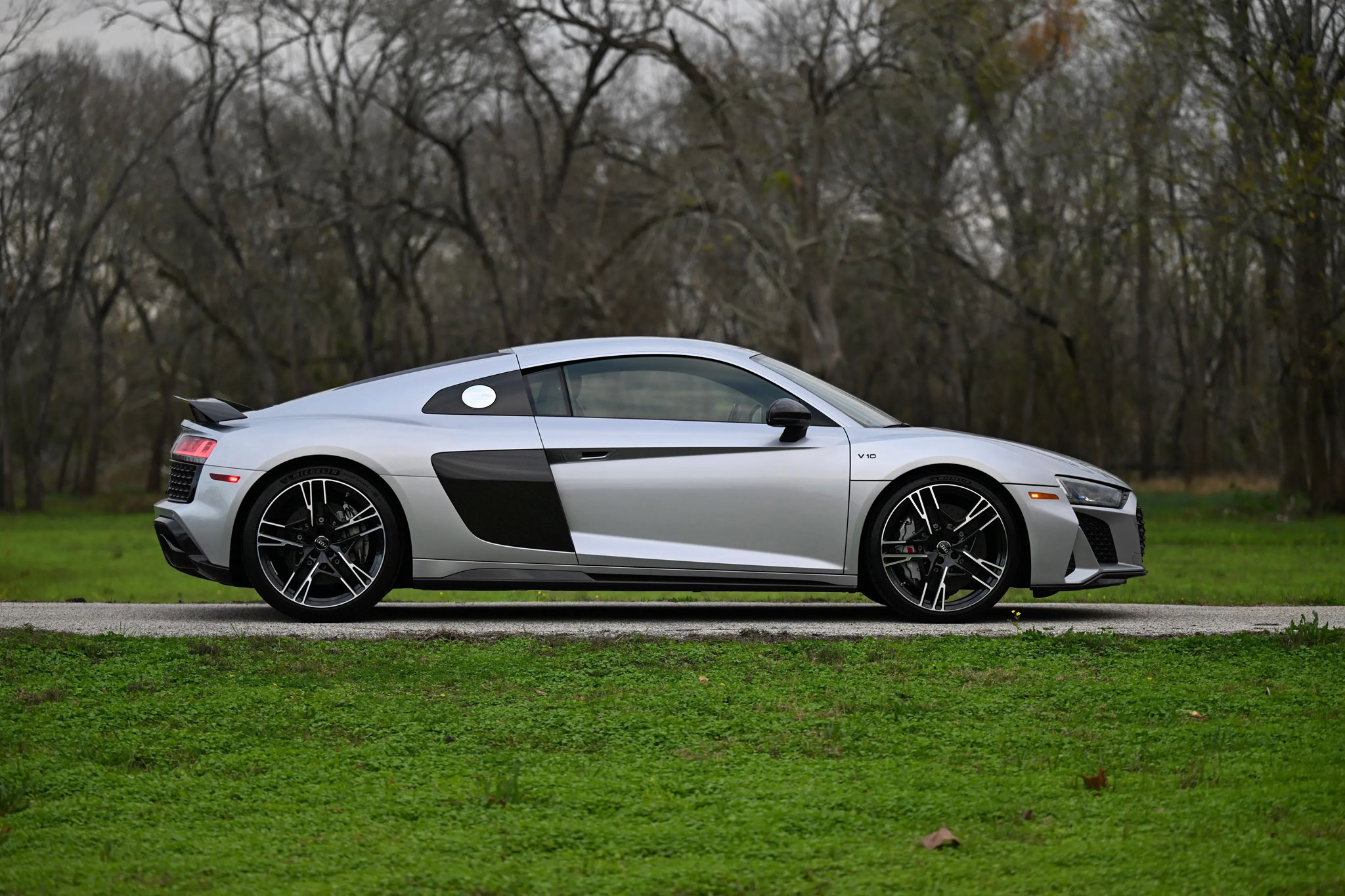 Floret Silver - Audi R8 (4S) - carpaints.co