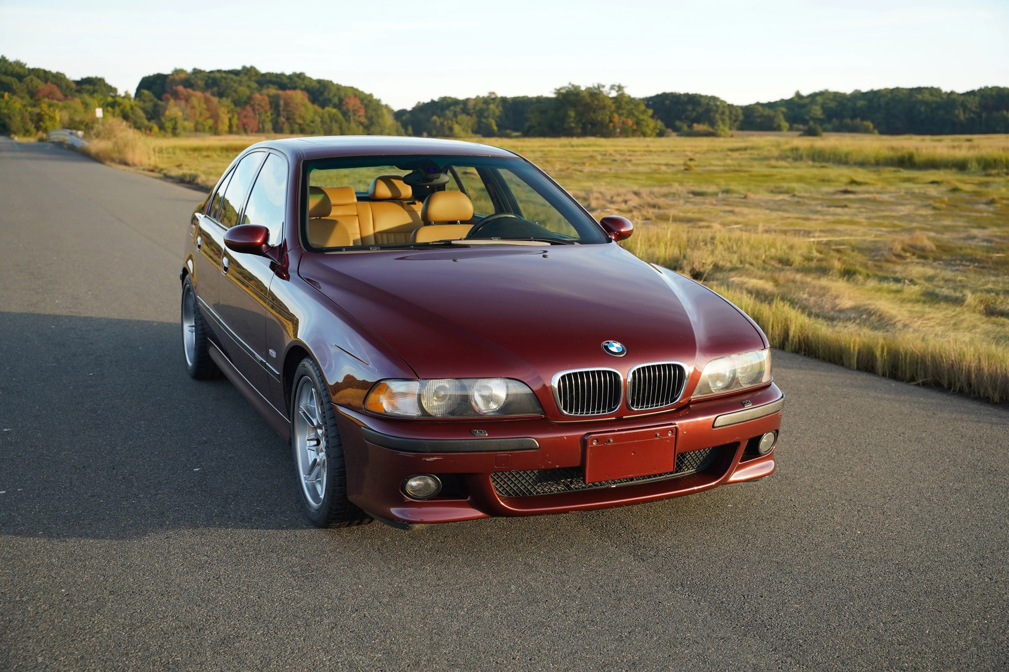 Royal Red - BMW M5 (E39) - carpaints.co