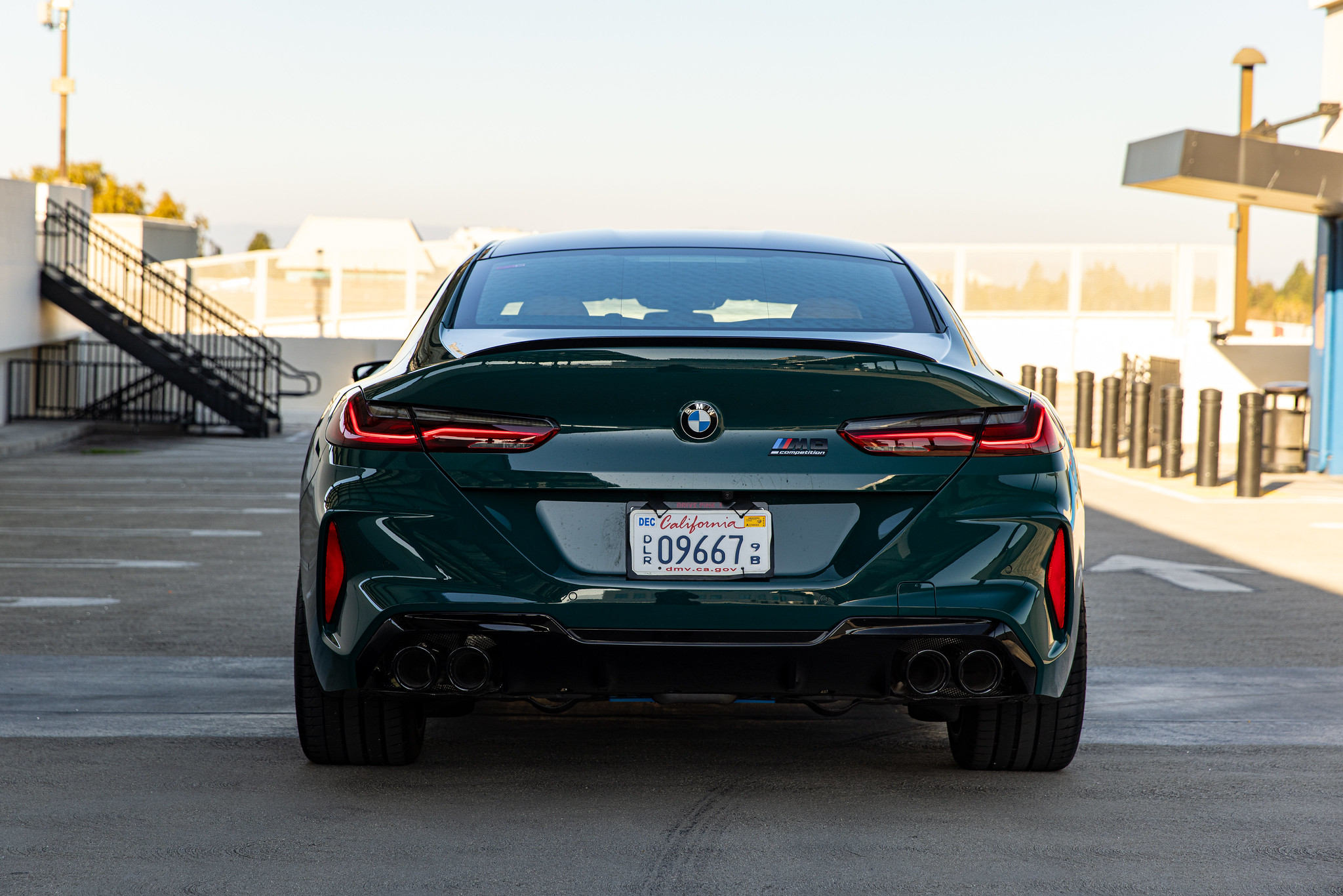 Agave - BMW M8 Gran Coupe (F93) - carpaints.co