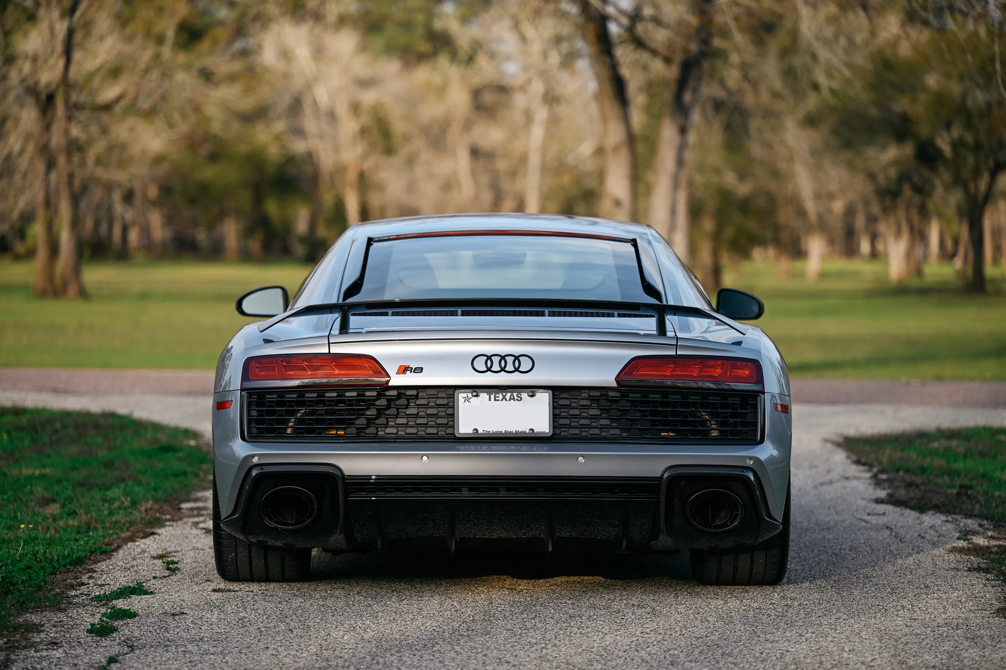 Floret Silver - Audi R8 (4S) - carpaints.co