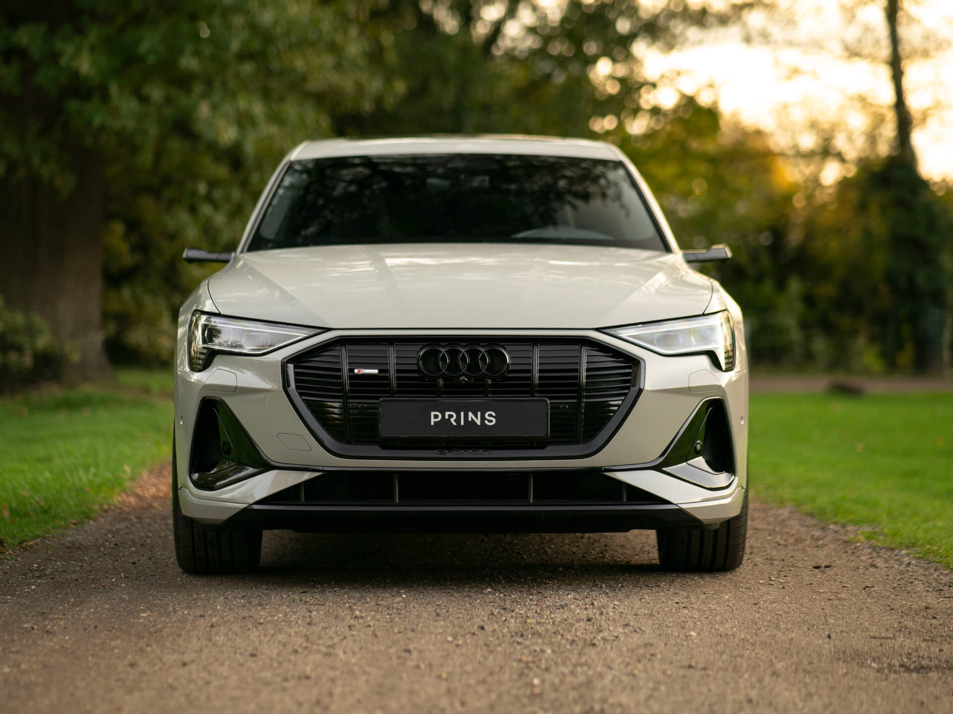 Siam Beige - Audi e-tron Sportback - carpaints.co