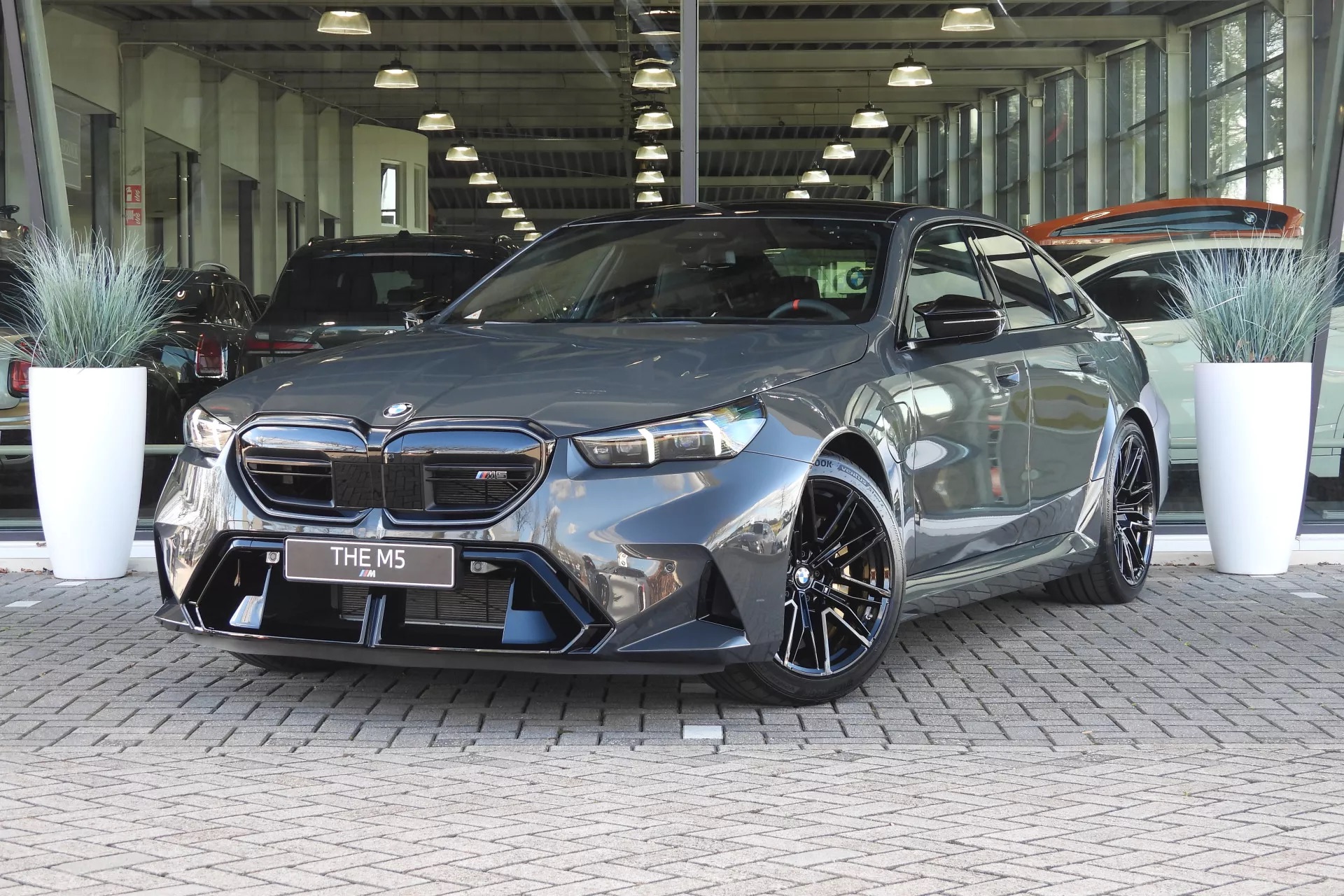 Dravit Grey - BMW M5 (G90) - carpaints.co