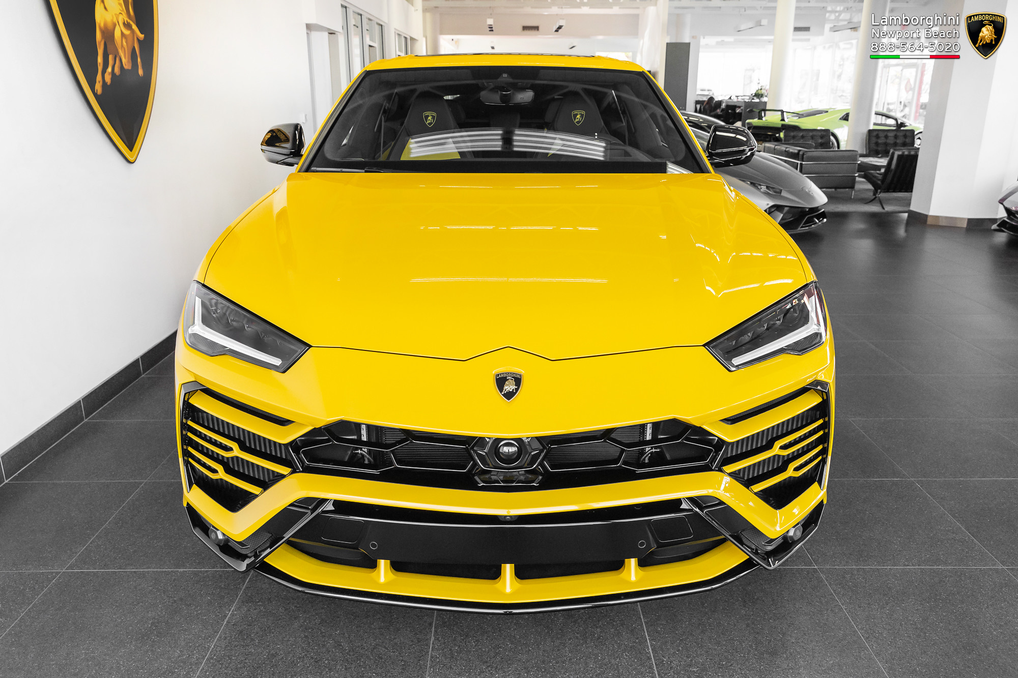 Giallo Auge - Lamborghini Urus - carpaints.co